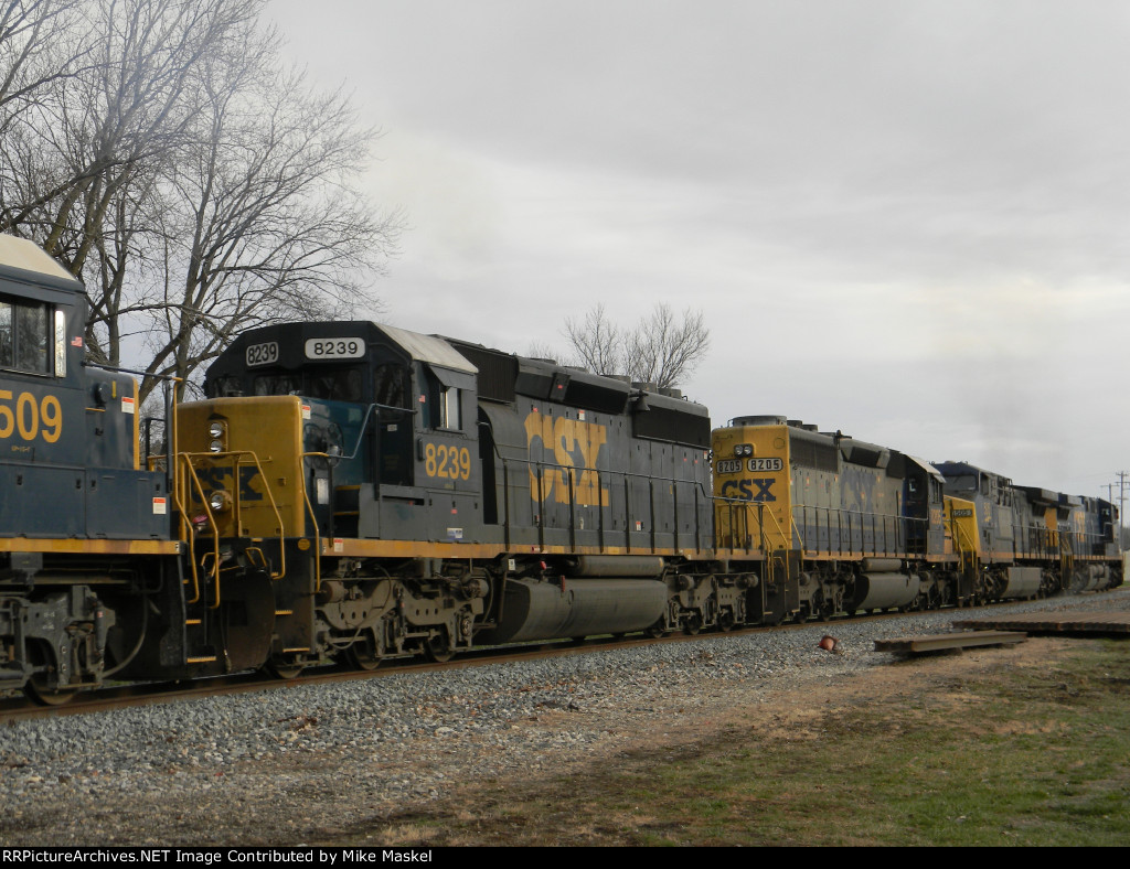 CSX 8239